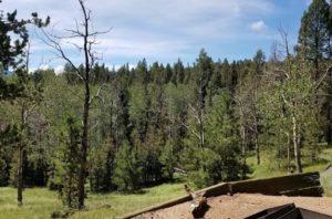 See The Best Places to Camp in Colorado - Camping Feed